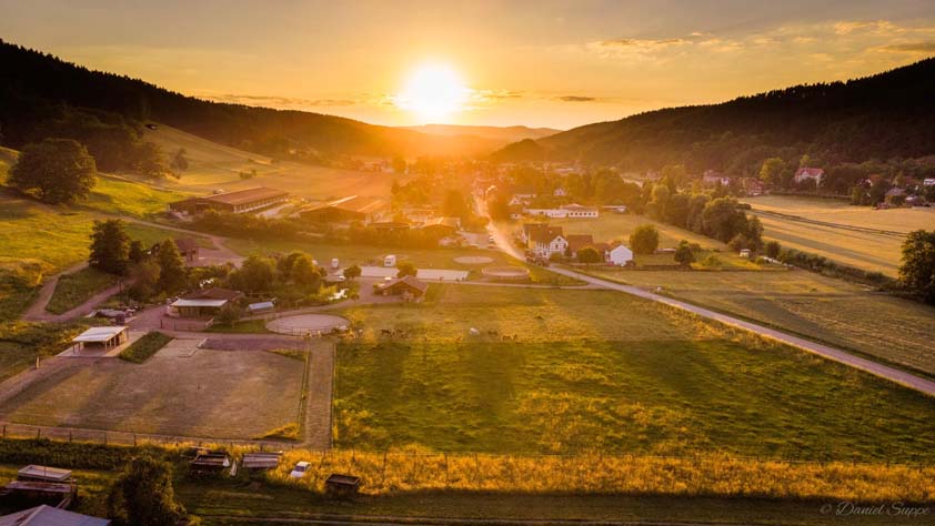 Pensionsplatz auf der Orlatal-Ranch frei | PFERDE.WORLD